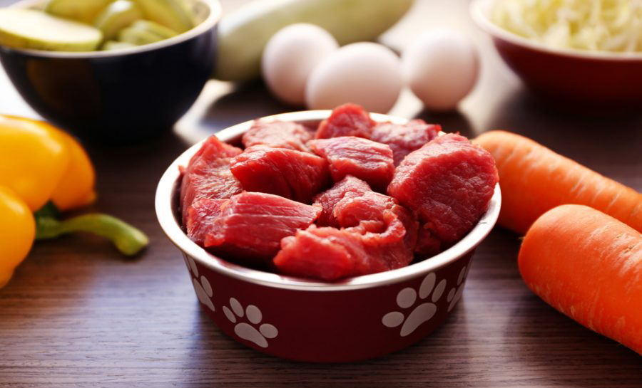 อาหาร BARF (Bone And Raw Food) ชัวร์หรือมั่วนิ่ม ? - บ้านและสวน Pets