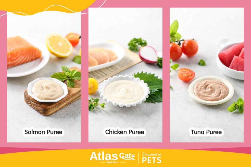 AtlasCat ที่สุดของอาหารและขนมแมวเกรดพรีเมียมเพื่อน้องเหมียวที่รัก