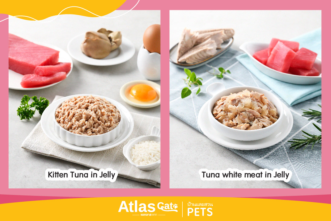 AtlasCat ที่สุดของอาหารและขนมแมวเกรดพรีเมียมเพื่อน้องเหมียวที่รัก