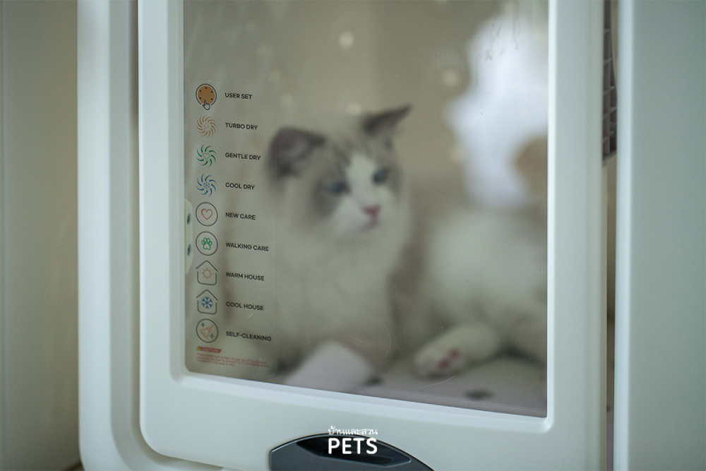 เครื่องเป่าขนอัตโนมัติสำหรับสัตว์เลี้ยงแบรนด์ PePe จาก Petology