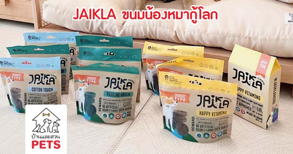 แมวส้ม ทำไมมีขนสีส้ม และส่วนใหญ่เป็นตัวผู้ - บ้านและสวน PETS