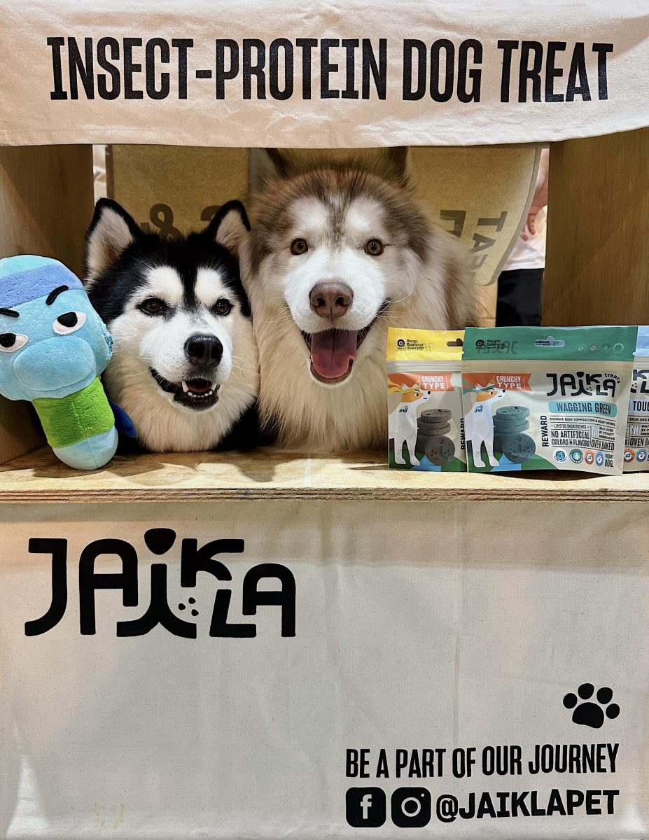 อาหารสัตว์เลี้ยง ที่มีโปรตีนจากแมลง ช่วยกู้โลกของเราได้อย่างไร - บ้านและสวน