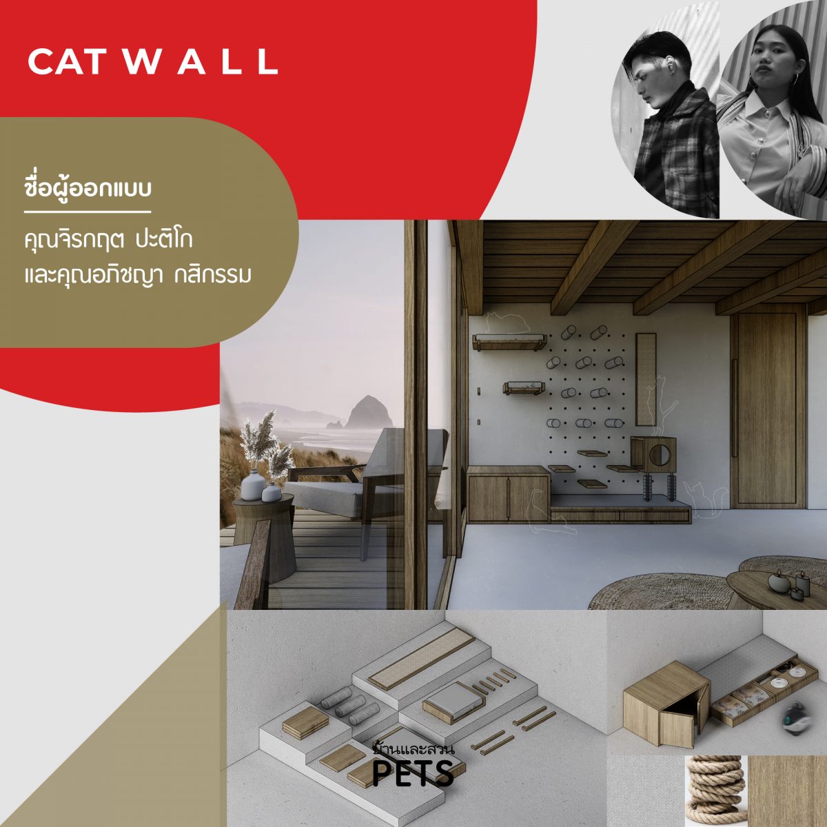"CAT WALL CAT WALK" 7 ผนังนี้ ใครจะชนะ - บ้านและสวน
