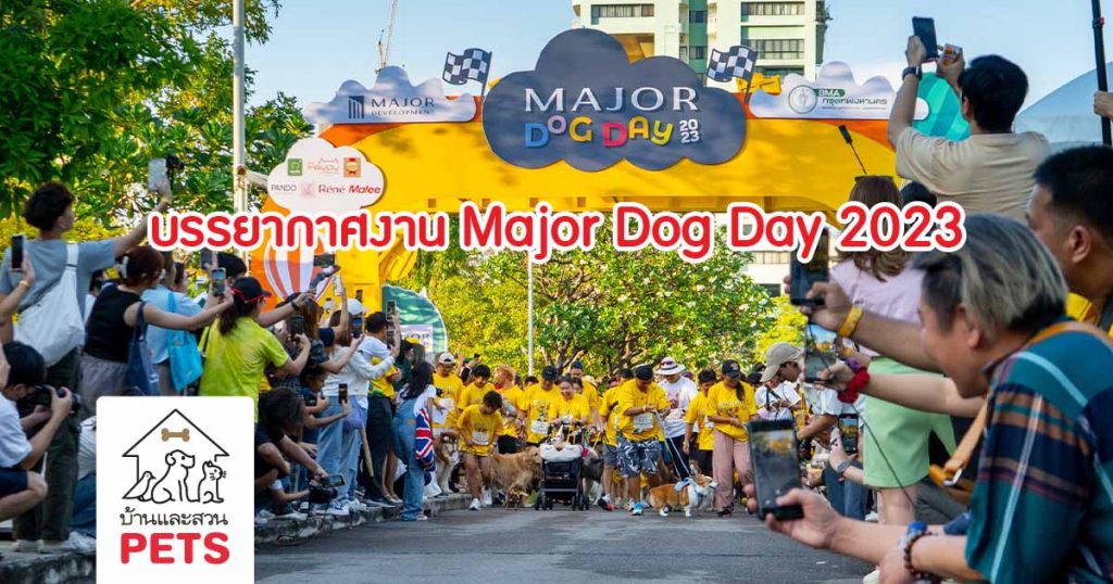บรรยากาศงาน Major Dog Day 2023 - บ้านและสวน