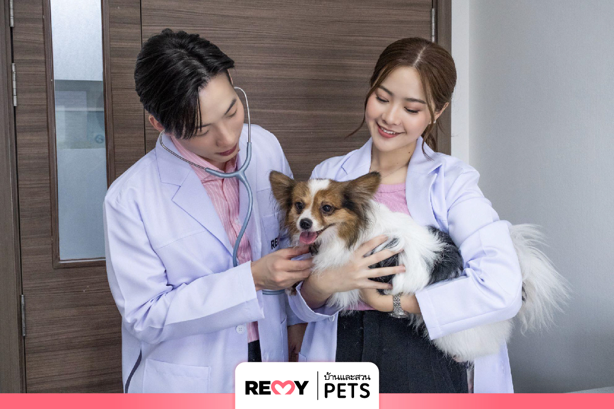 สุขภาพดีเริ่มต้นจาก... โภชนาการที่ดี - บ้านและสวน