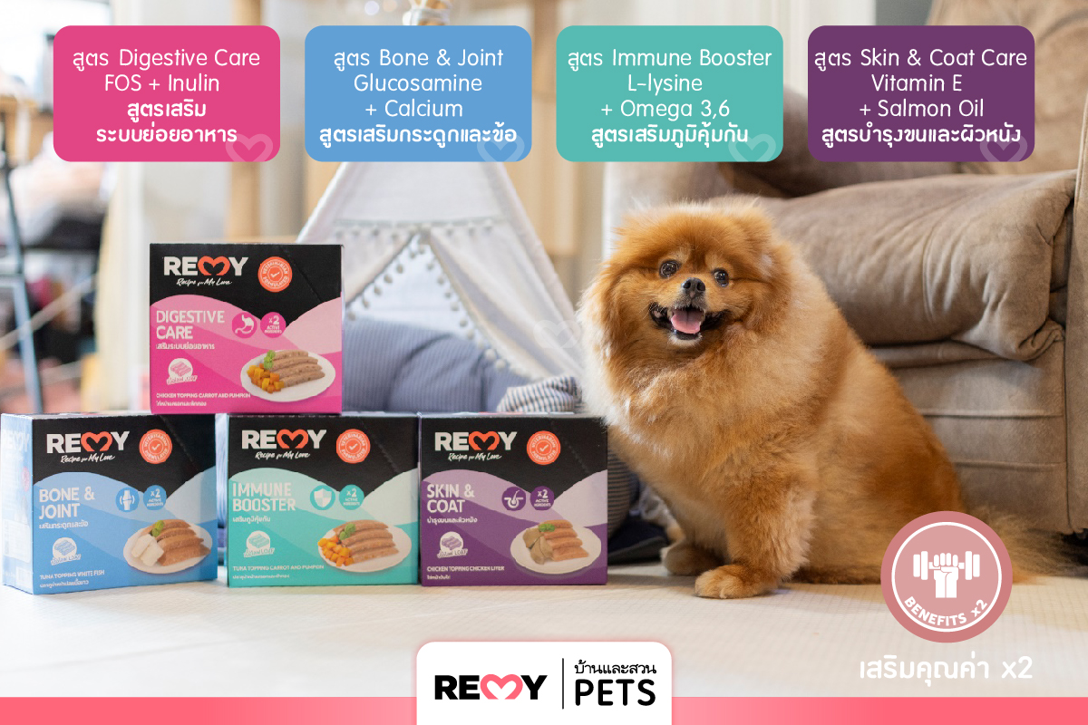 สุขภาพดีเริ่มต้นจาก... โภชนาการที่ดี - บ้านและสวน