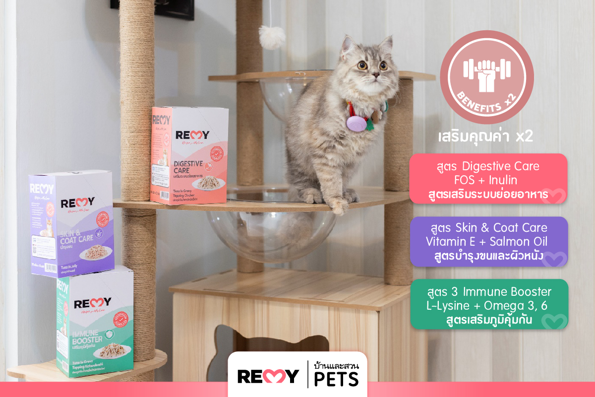 สุขภาพดีเริ่มต้นจาก... โภชนาการที่ดี - บ้านและสวน