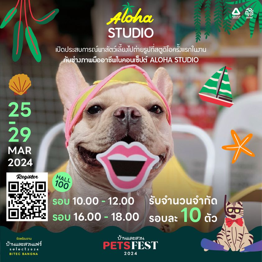 ALOHA Studio - บ้านและสวน