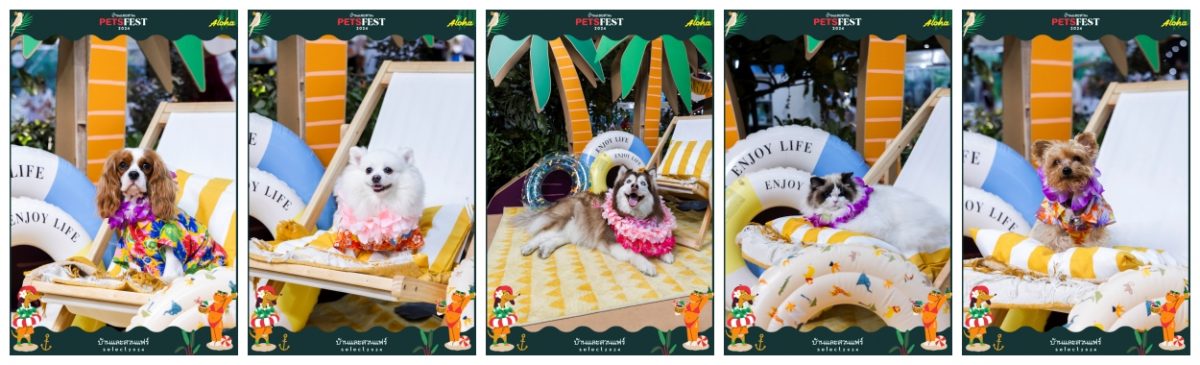 ALOHA Studio - บ้านและสวน