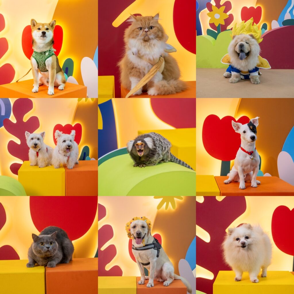 Blooming Studio - บ้านและสวน Pets